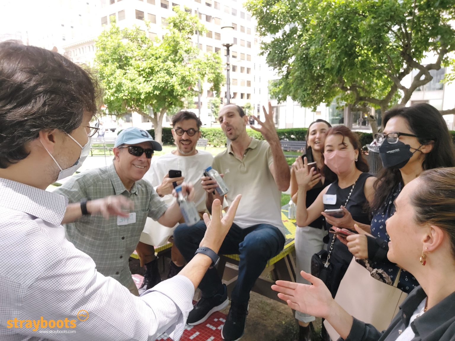 10 Amazing Tactics Cheering for the Team | Strayboots